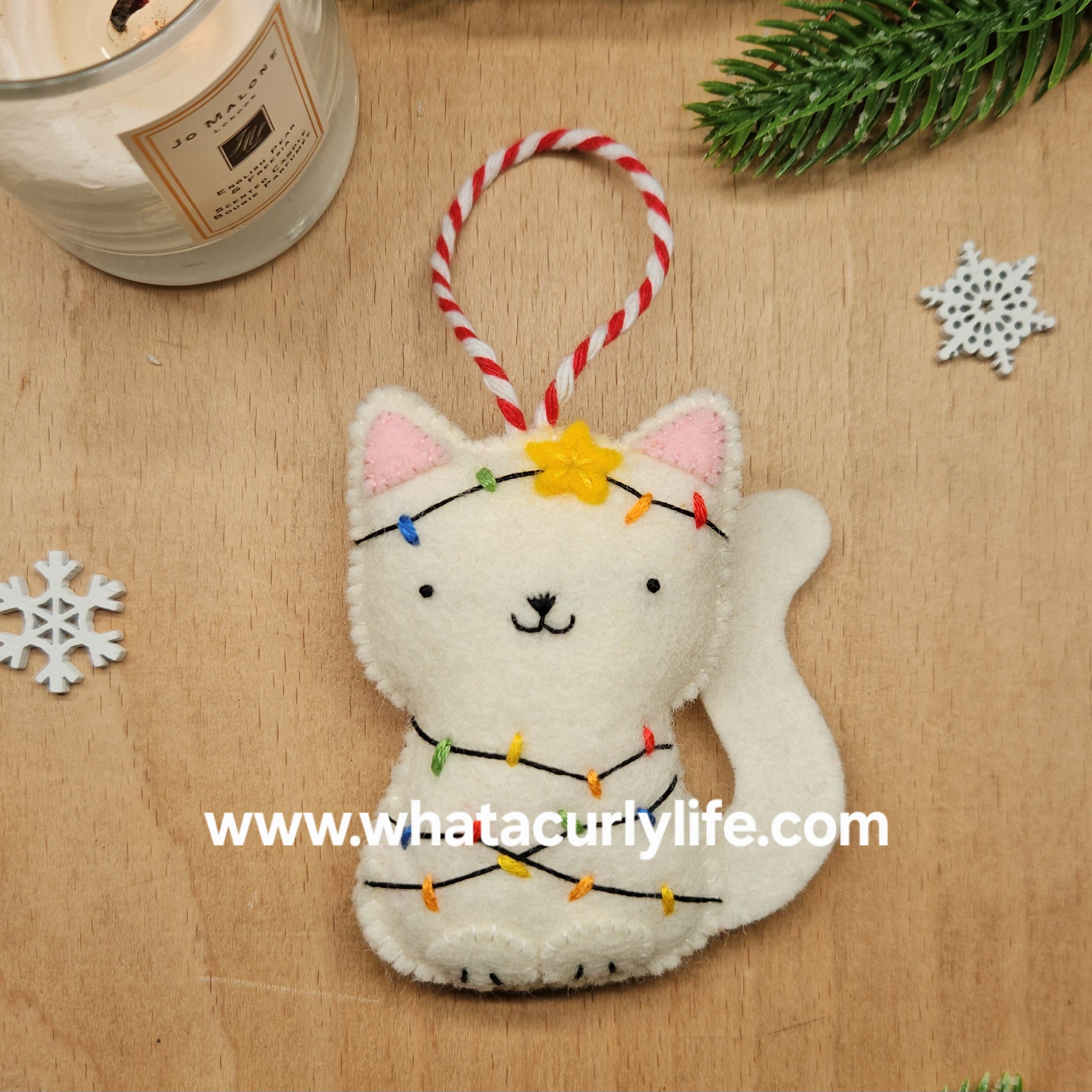 Advent Calendar 2025 - Day 18 - Festive Cat – What a Curly Life